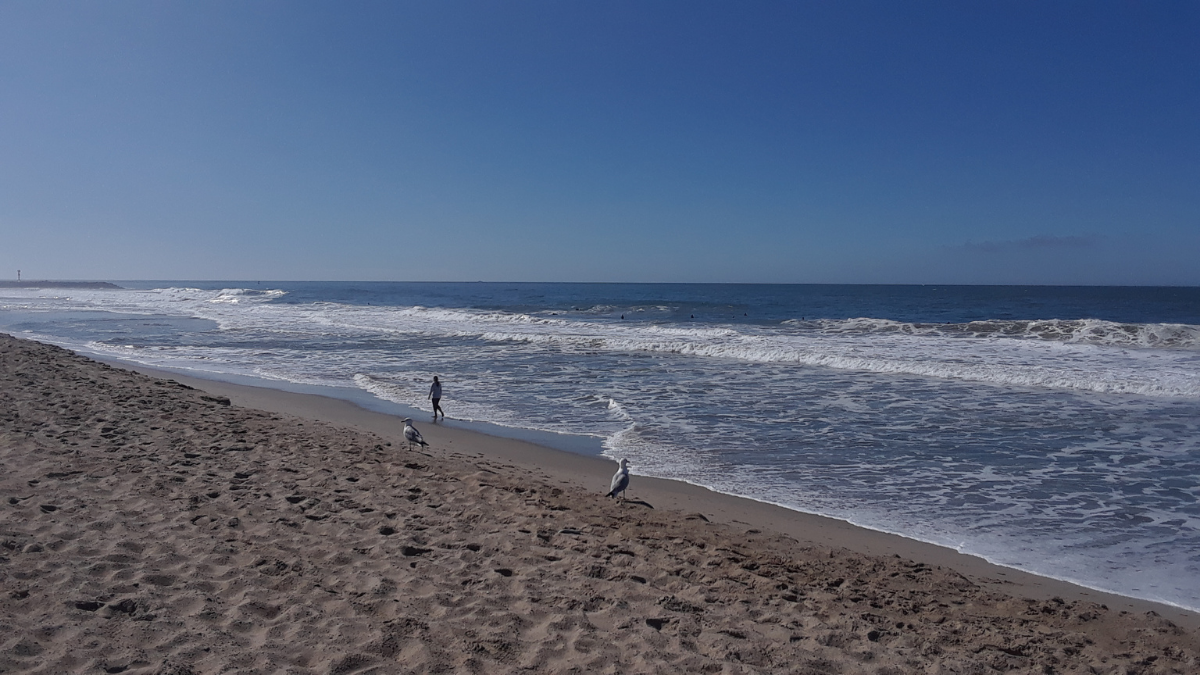 Marvelous Maker | miscellaneous