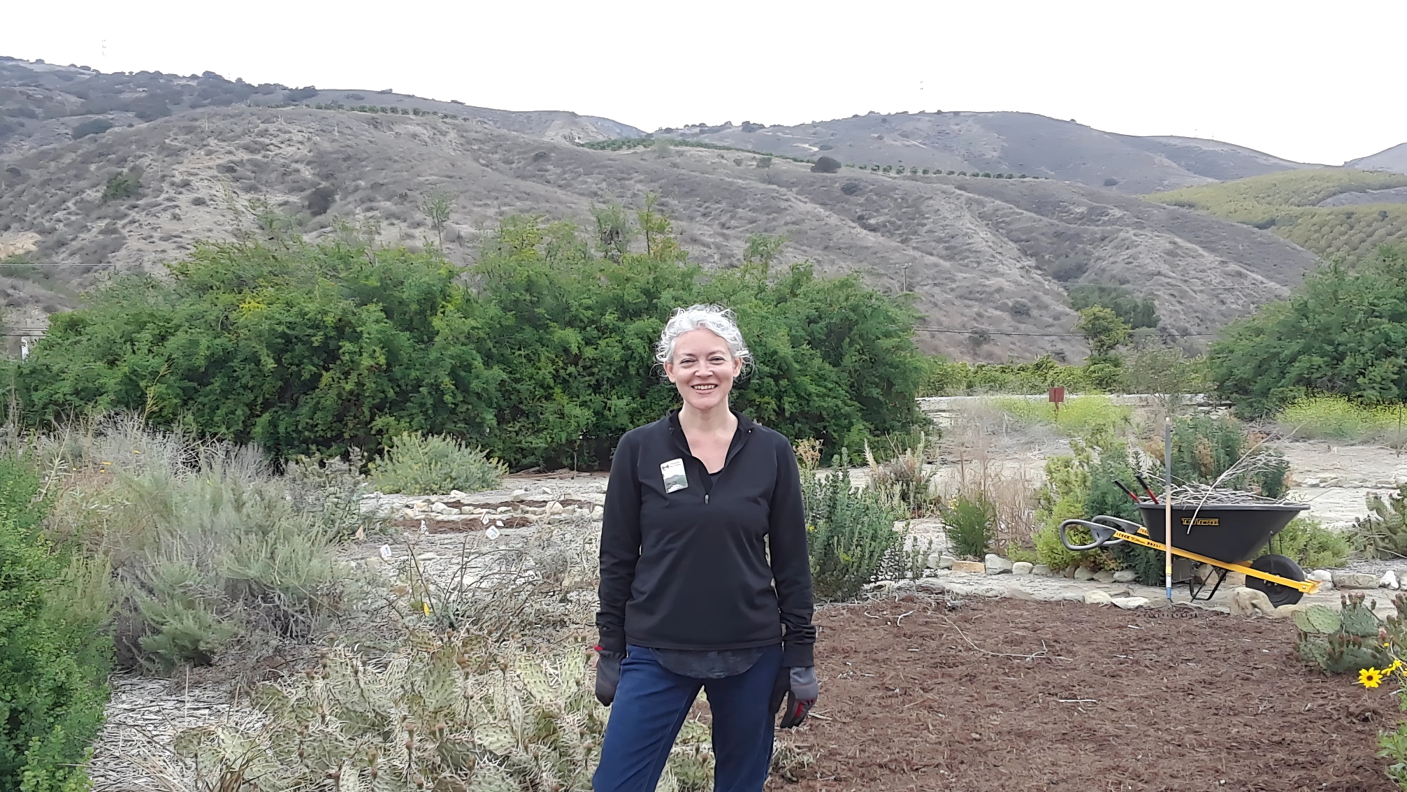 Native Plant Restoration