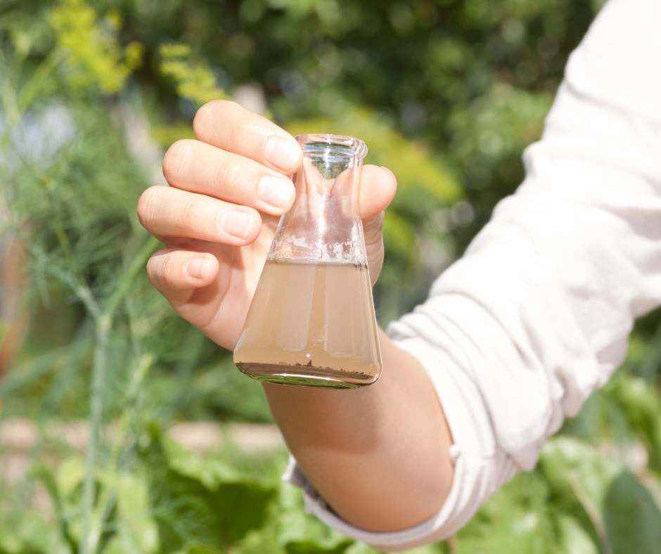 What is Total Maximum Daily Load? | miscellaneous